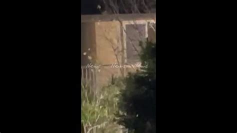 Naked Rampage In Gold Coast Paradise Gold Coast Bulletin