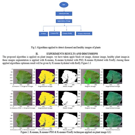 Plant Disease Image Segmentation Applying The K Means Algorithm Firefly And Particle Swarm
