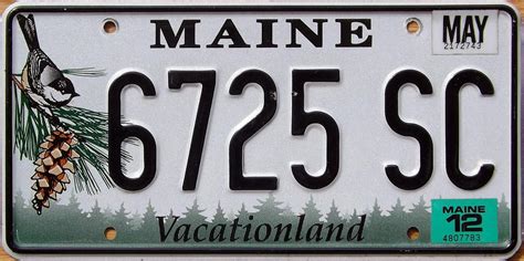 Maine License Plate With Pine Cone And Bird