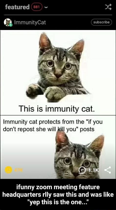Featured This Is Immunity Cat Immunity Cat Protects From The If You