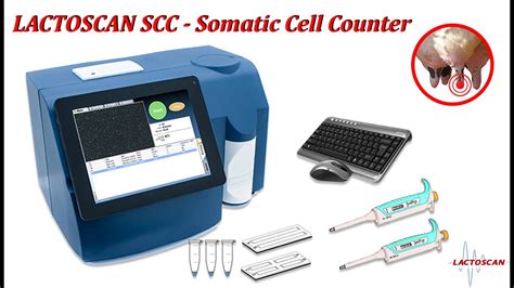 Lactoscan Scc Somatic Cell Counter Youtube