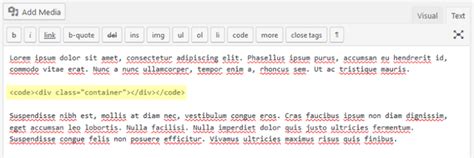 How To Write Code In WordPress Posts Using The Classic Text Editor ThemeSkills