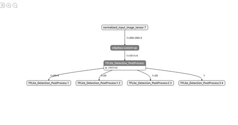 Does The TFLite Detection PostProcess Op Runs On The TPU Or The CPU