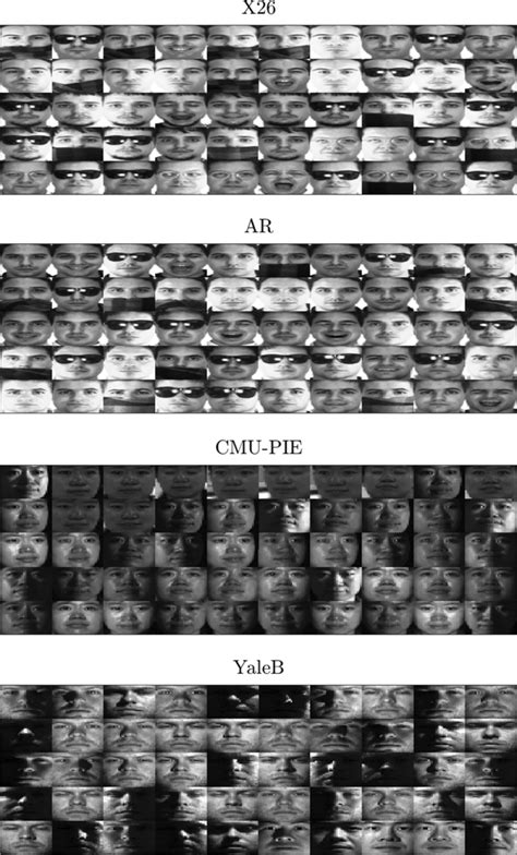 Partial Face Samples From Four Datasets Download Scientific Diagram