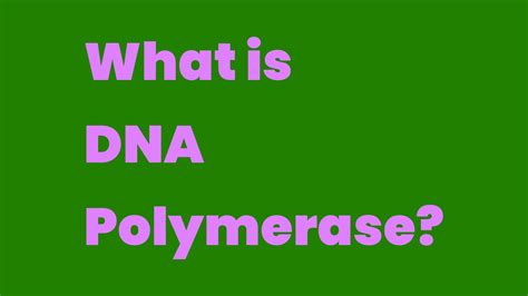What Is Dna Polymerase Write A Topic