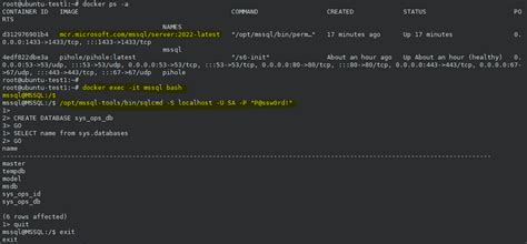 deploy microsoft sql server 2022 on docker container sys ops id