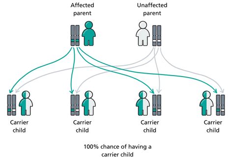 Visual Communication Aid Autosomal Recessive Inheritance — Knowledge Hub