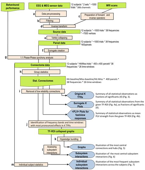A Schematic Overview Of The Analysis Pipeline This Figure Shows The Download Scientific