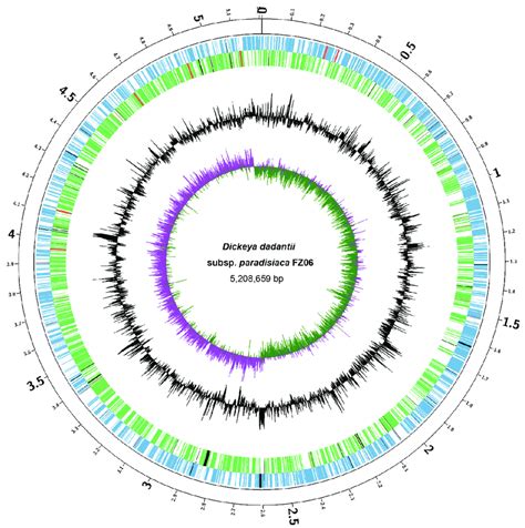 Circular Chromosome Map Of D Dadantii Subsp Paradisiaca Fz06 The