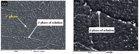 Sem Micrographs Of The Morphology Of Typical Precipitates Under