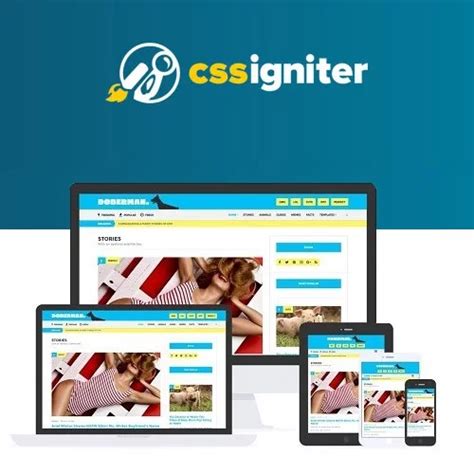 CSS Igniter Doberman WordPress Theme ToolsZilla