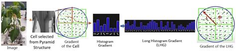 Real Time Point Recognition For Seedlings Using Kernel Density