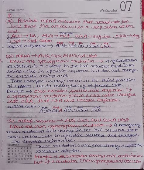 [solved] 1 a draw a possible mrna sequence that would code for just