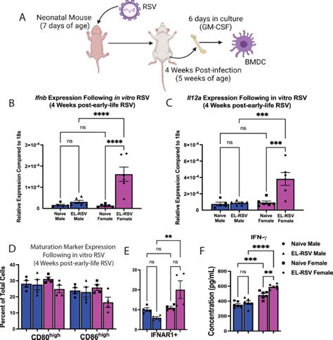 Sex Associated Early Life Viral Innate Immune Response Is