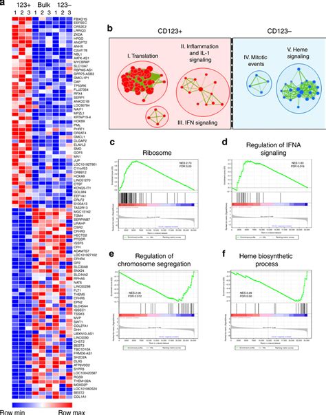 Whole Transcriptome Analysis Shows An Upregulation Of Ribosome