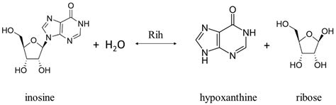 Ribonucleoside Hydrolase Structure Encyclopedia Mdpi