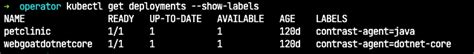 Troubleshooting The Contrast Agent Operator Contrast Security Support Portal