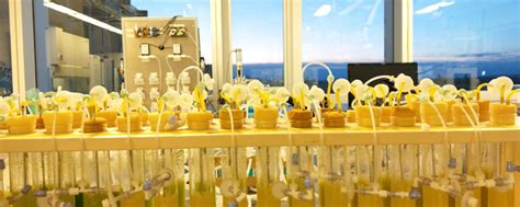 Research Overview Innovations In Advanced Materials And Bioprocess Development Laboratory