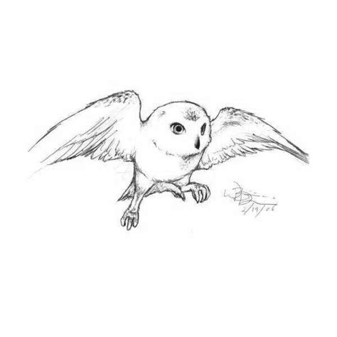 Гарри Поттер С Совой Раскраски 69 фото