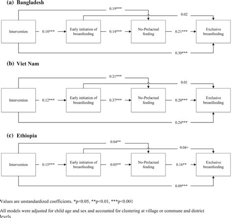 path models for the associations from intervention group and early