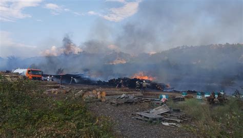 Пожар погълна над 200 кубика дървени трупи близо до Дом за възрастни хора в Кочериново