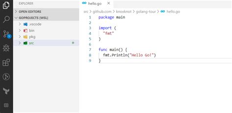 Setting Up Go Development Environment — Hello Go By Samuel Nwoye Medium