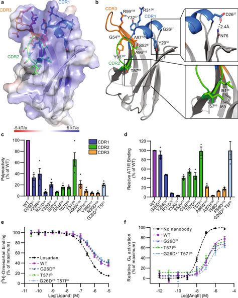 An In Silico Method To Assess Antibody Fragment Polyreactivity Pmc