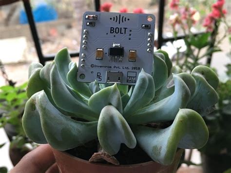 Light Intensity Monitoring System For Plants