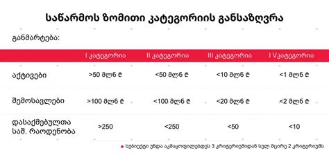 საწარმოს ზომითი კატეგორიის განსაზღვრა ბიდიო აკადემია