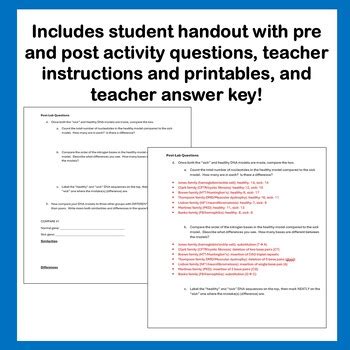 DNA Structure Modeling Lab Real World Case Based By Growing New Scientists