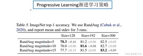 深度学习之图像分类（十六） Efficientnetv2 网络结构 Csdn博客