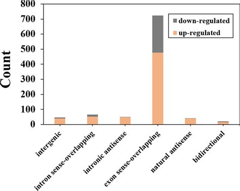 Classification Of Differentially Expressed LncRNAs Download Scientific Diagram
