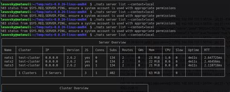 issues with auth using system account · issue 2651 · nats io nats