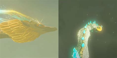 Zelda Dragon Dragon Locations And Paths In Zelda Totk Polygon