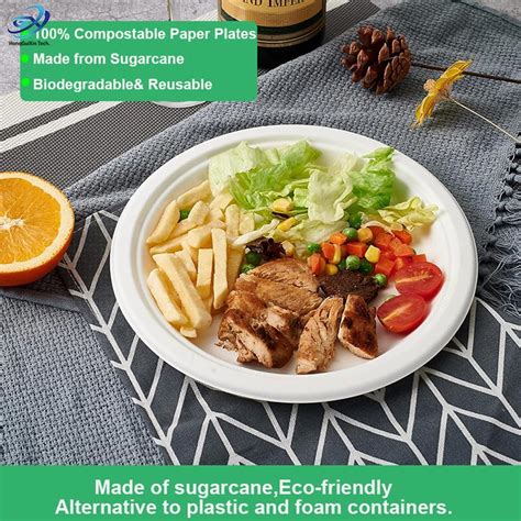Platos 100 Compostables Platos De Papel Desechables 50 Unidades