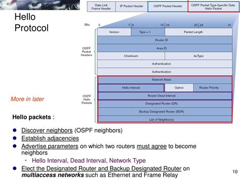 Ppt Chapter 11 Ospf Powerpoint Presentation Free Download Id4221906