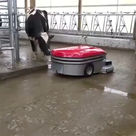 Liat Ben Zur On Linkedin What A Fabulous Use Case For Ai Autonomous Robots