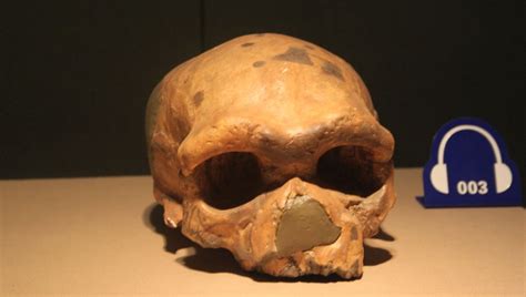 Yet Another Ancient Human Skull Turns Out To Be Denisovan Iflscience