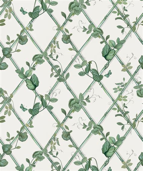 Ivy Vine Patterns