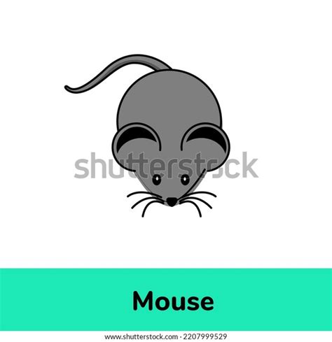 Mouse English Word Flashcard Beginners Stock Illustration 2207999529 Shutterstock
