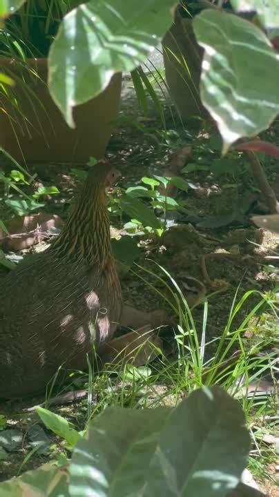 Wei Li Liew On Linkedin Chicks Sciencelearning Scienceeducation Caring Singaporeschools