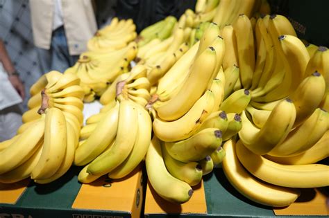 កម្ពុជាមានចម្ការចេកអំបូងលឿង២៤និងទីតាំងវេចខ្ចប់ផ្លែចេកស្រស់៣៦សម្រាប់ធ្វើការនាំចេញទៅចិន