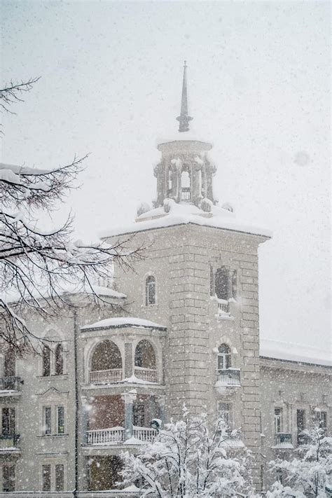 თოვლიანი ულამაზესი თელავი ფოტოები Knews Ge