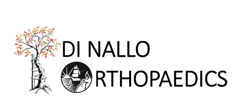 Insertional Tendinopathy Of The Hamstring Di Nallo Orthopaedics