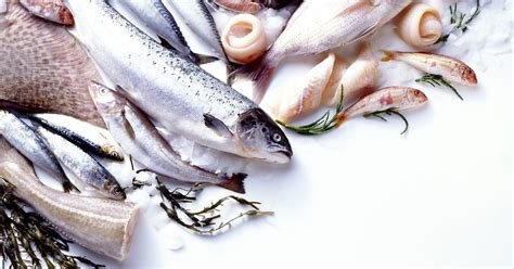 12월 면역력 책임지는 ‘제철 생선 4가지