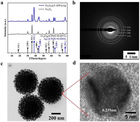 A Xrd Pattern Of Fe3o4 And Fe3o4apfag B Saed Pattern Of