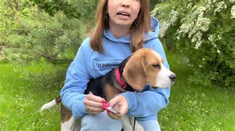 Оквет ЭкспрессТабс - YouTube