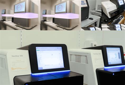 How Does Metagenomic Sequencing Differ From Whole Genome Sequencing Wgs Microbiology Class