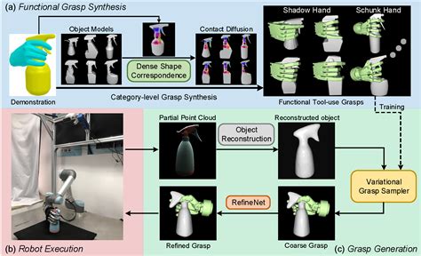 Learning Human Like Functional Grasping For Multi Finger Hands With
