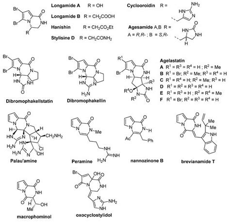 Dihydropyrrolo[1 2 A]pyrazinones Encyclopedia Mdpi